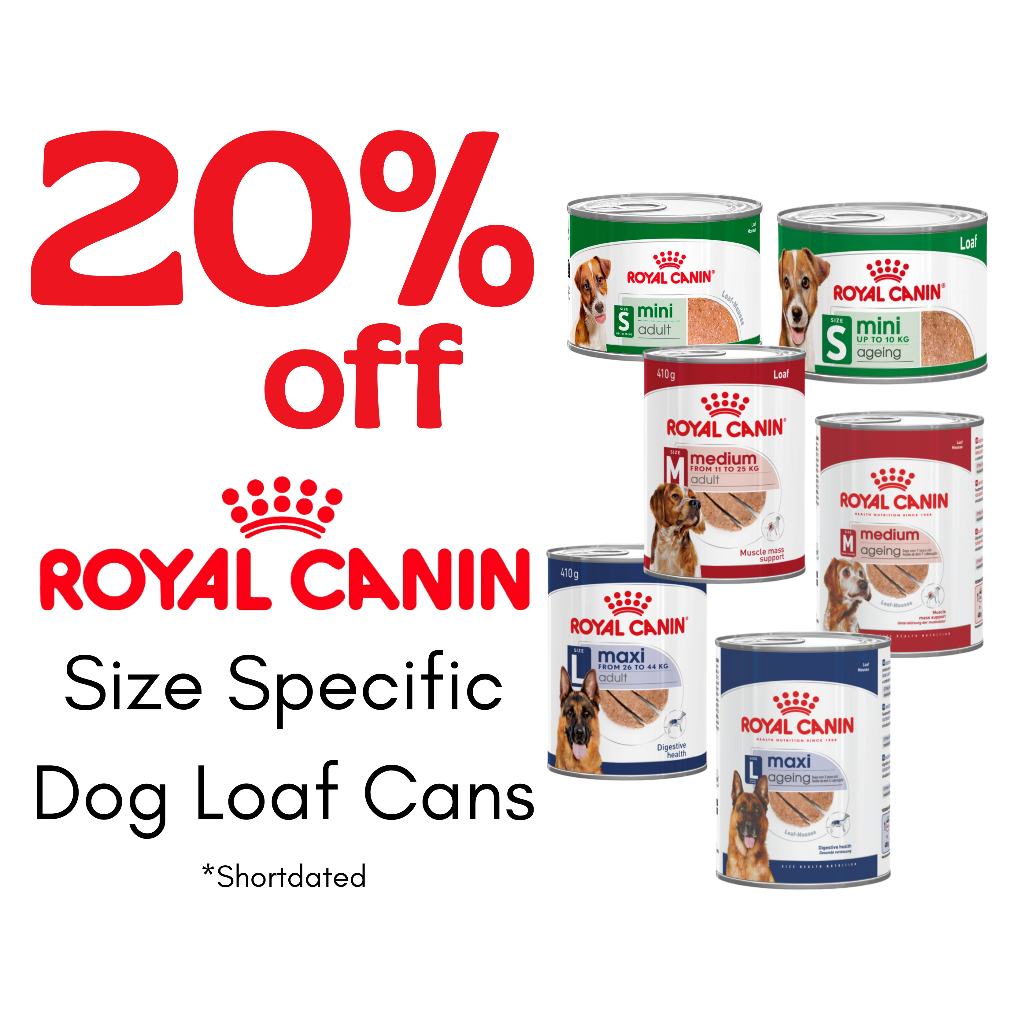 Pet.kiwi - Your Pet Store