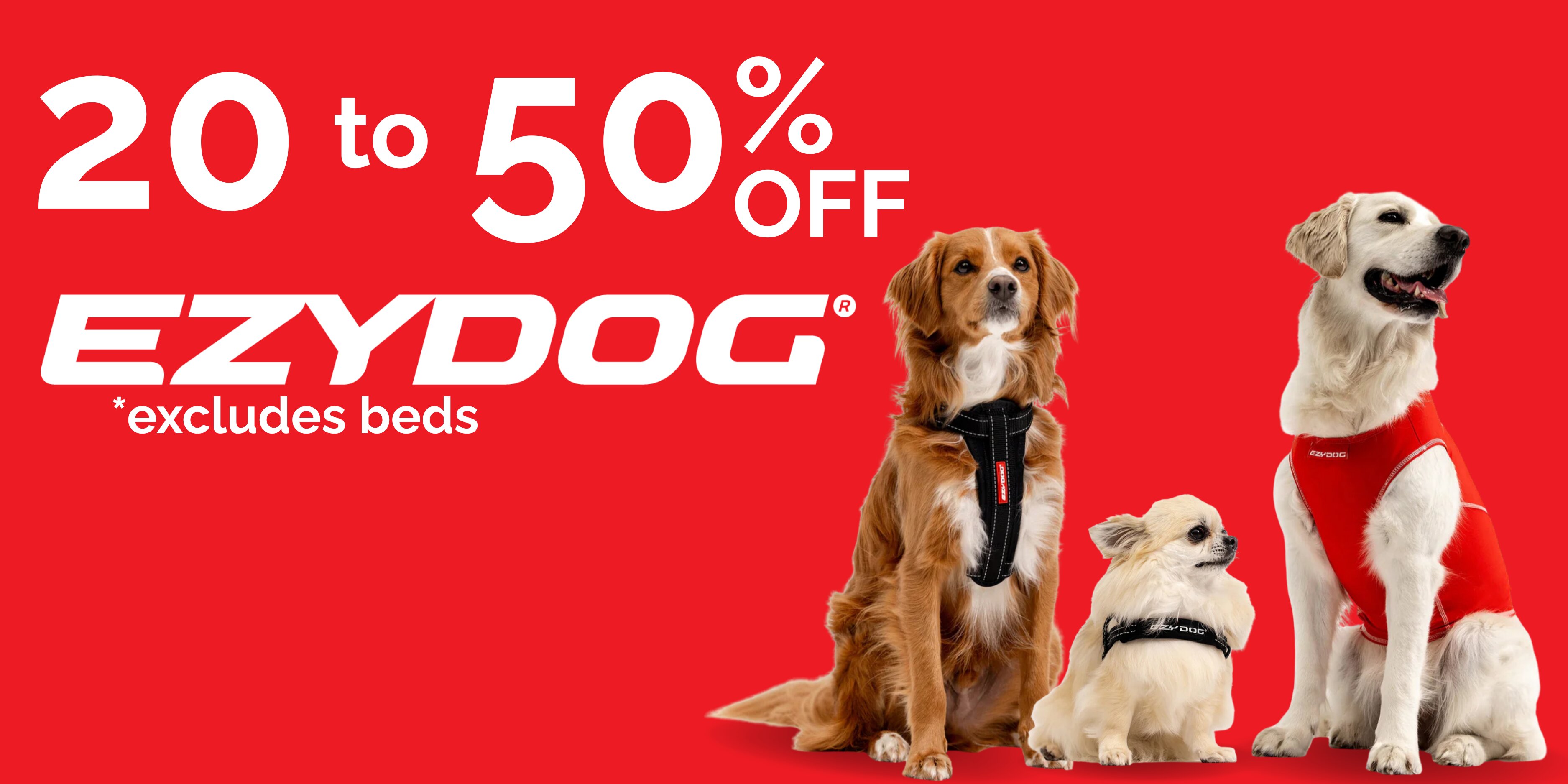 Pet Shop Auckland – Pet.kiwi