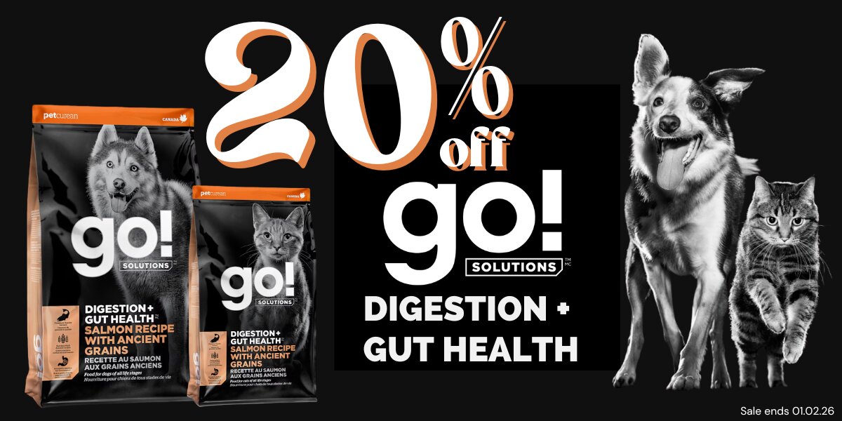 Pet Shop Auckland – Pet.kiwi