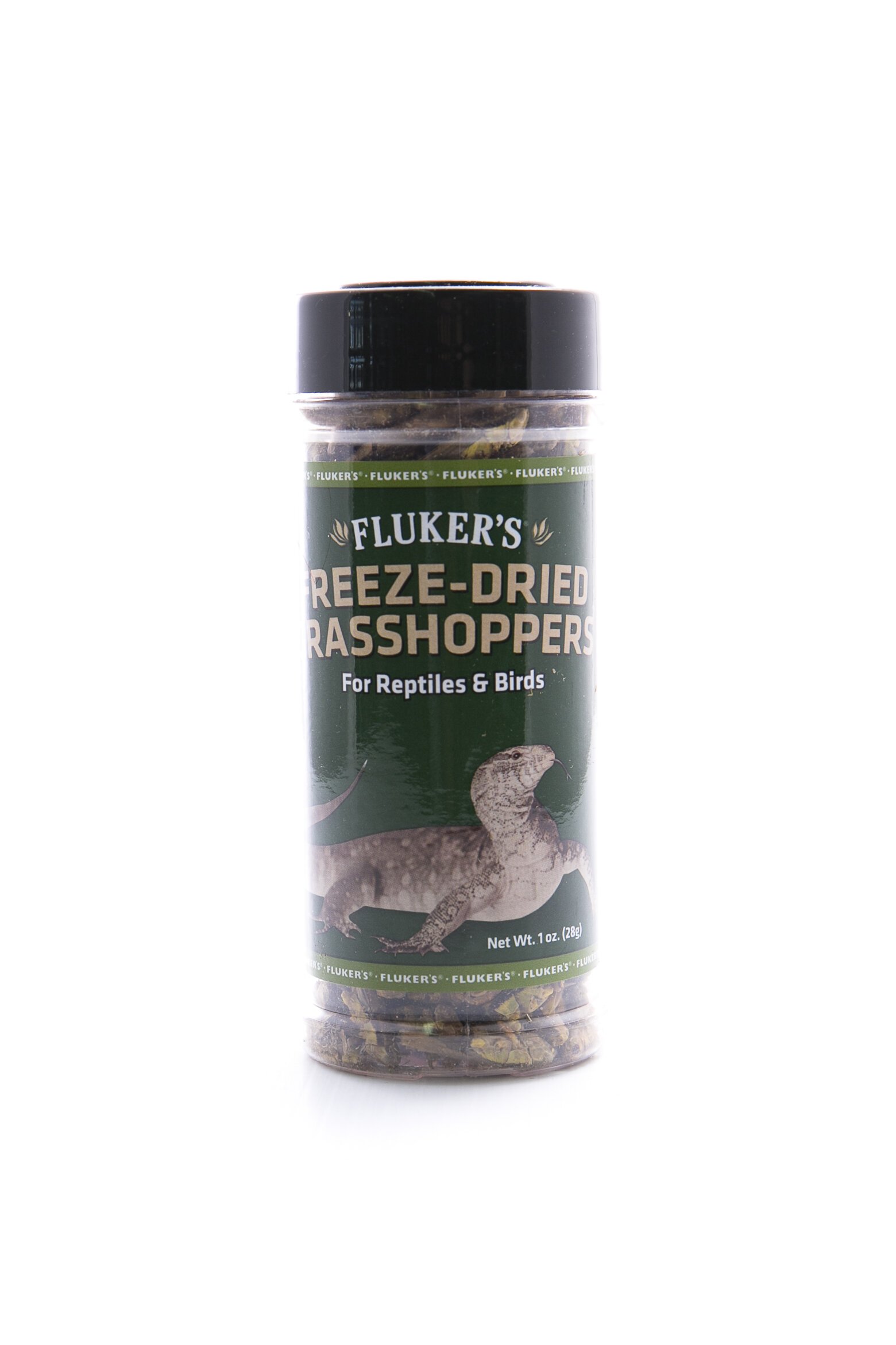 Freeze Dried Grasshoppers - Exotics-Reptiles-Food-Lizard Food : Pet ...
